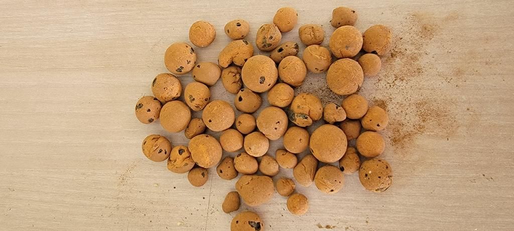 Terrarium Supplies - Aquarium Adventure Chicago